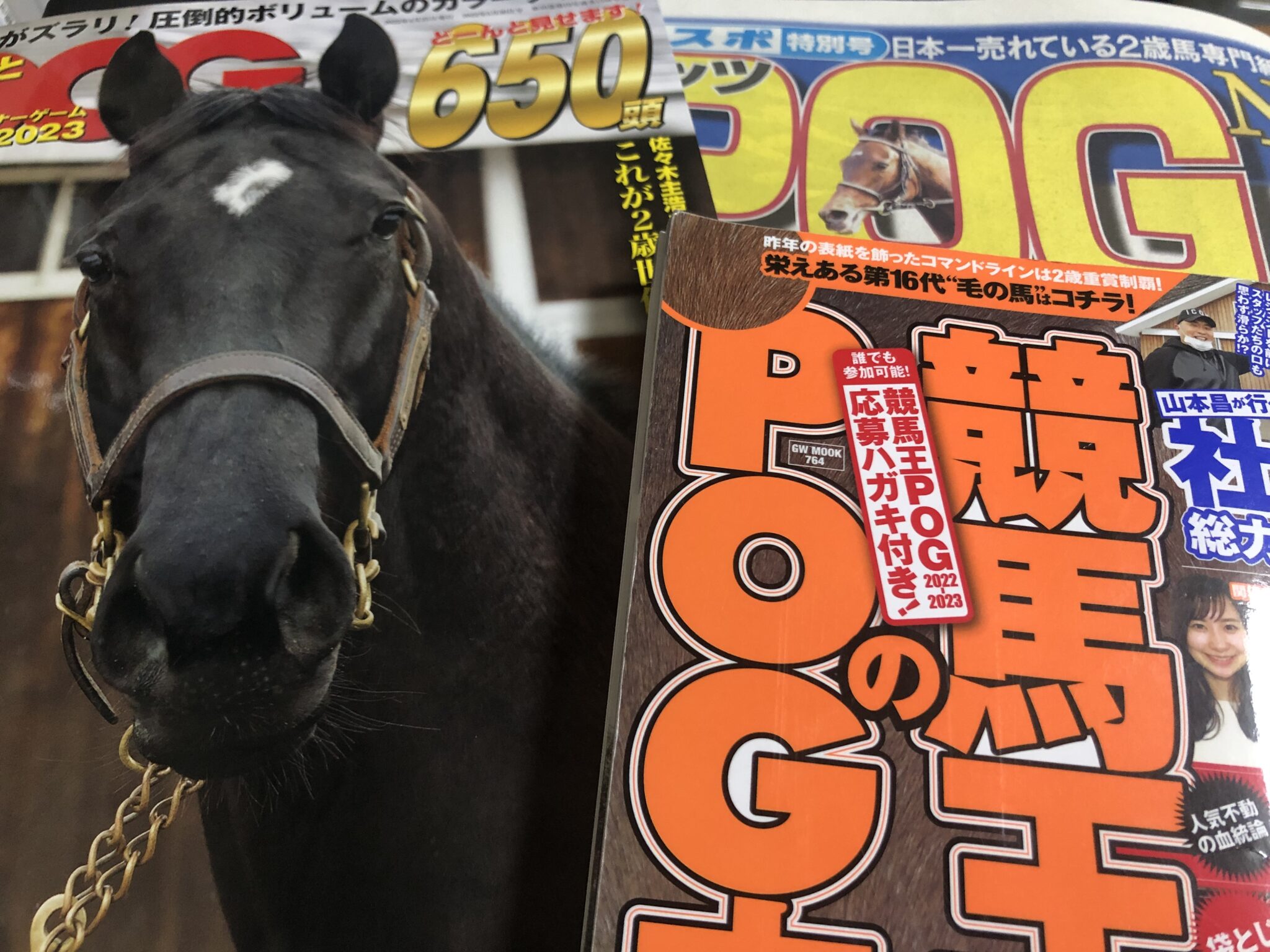 POG 2023 有力馬 & 指名候補 – IKKYO 一橋★競馬 KEIBA